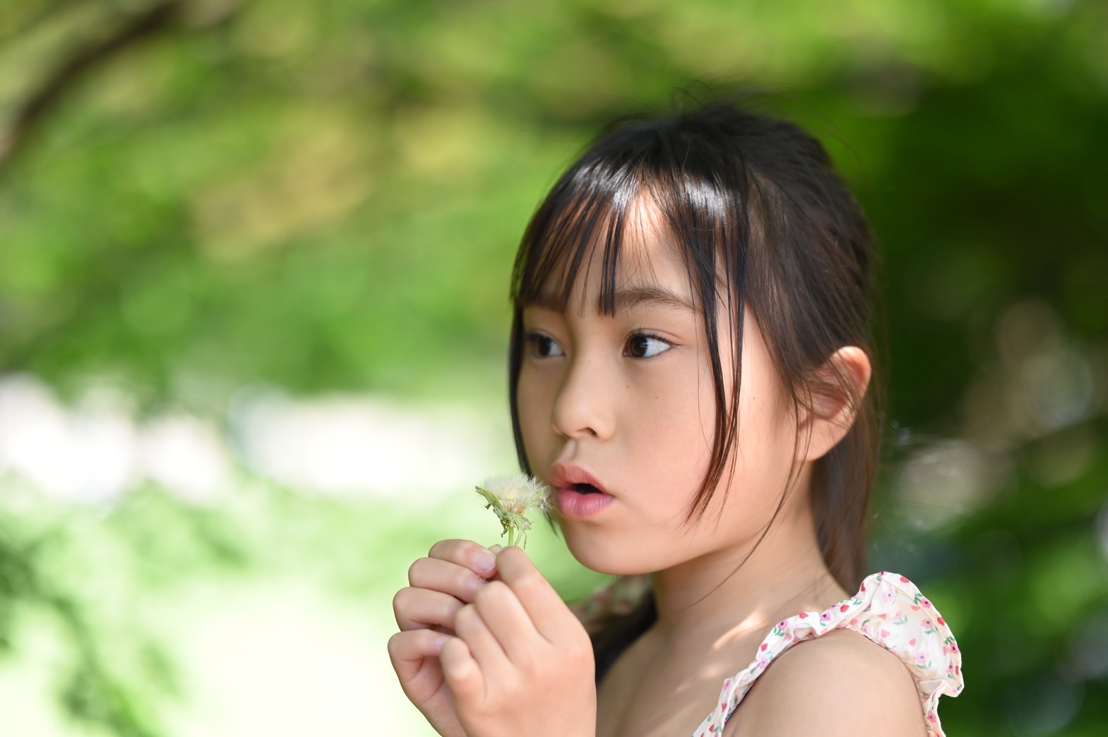 SEINA - ピュアフル撮影会